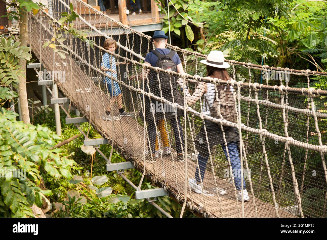 Eden project cornwall 2021 visitors hi-res stock photography and images ...