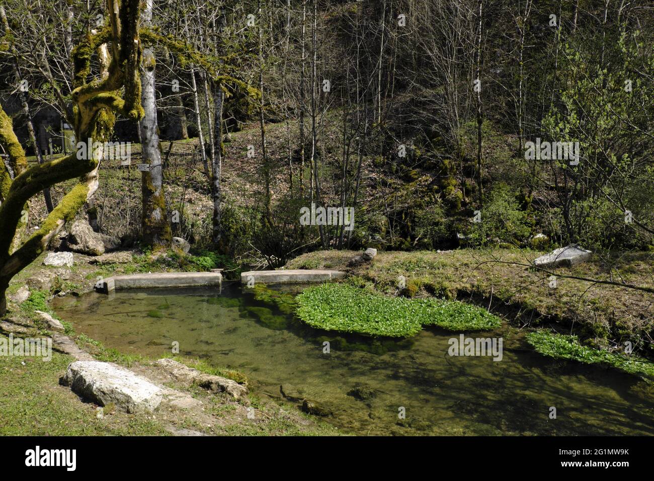 Fish pond monastery hi-res stock photography and images - Alamy