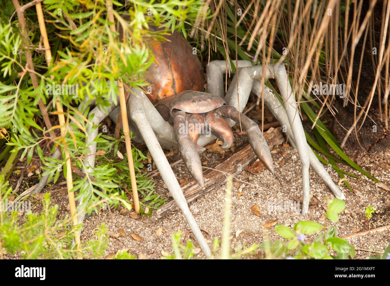 Spider sculpture statue at The Eden Project Mediterranean biome ...