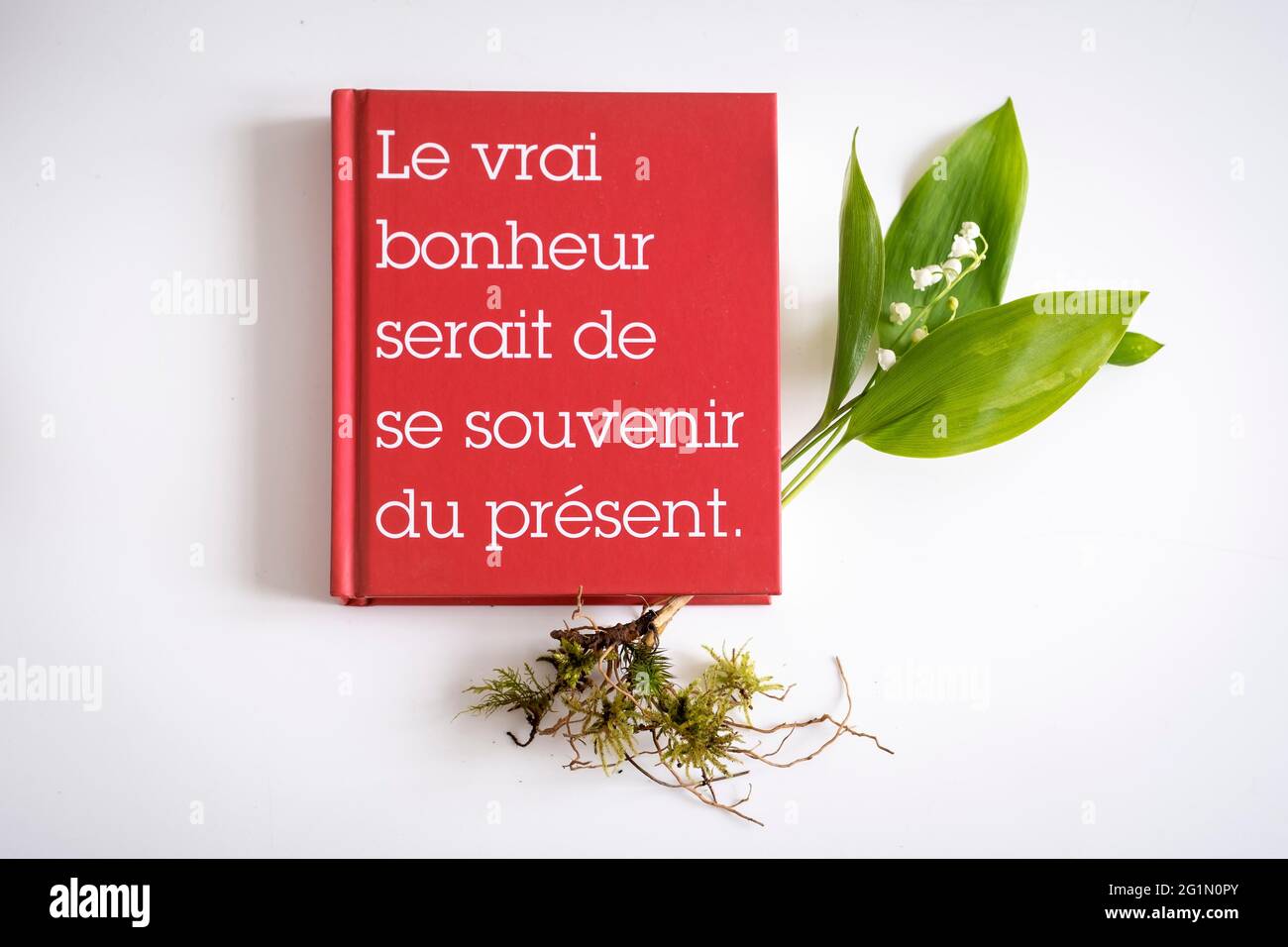 Sprig of lily of the valley hi-res stock photography and images - Alamy