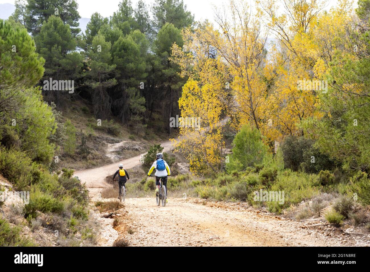 Spain, Province of Alicante, Natural park of Sierra Mariola, Electric resistance bike on GR7 ...