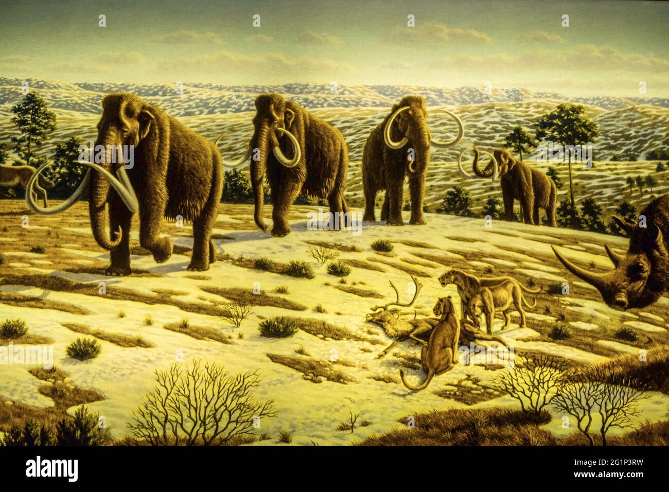 Spain, Cantabria, Sentillana del Mar, ornated prehistoric cave of ...