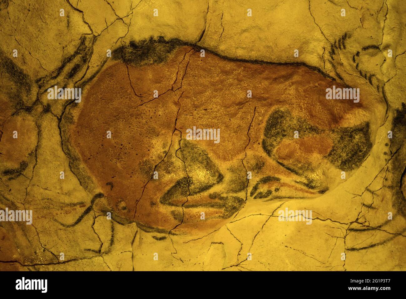 Spain, Cantabria, Sentillana del Mar, ornated prehistoric cave of ...