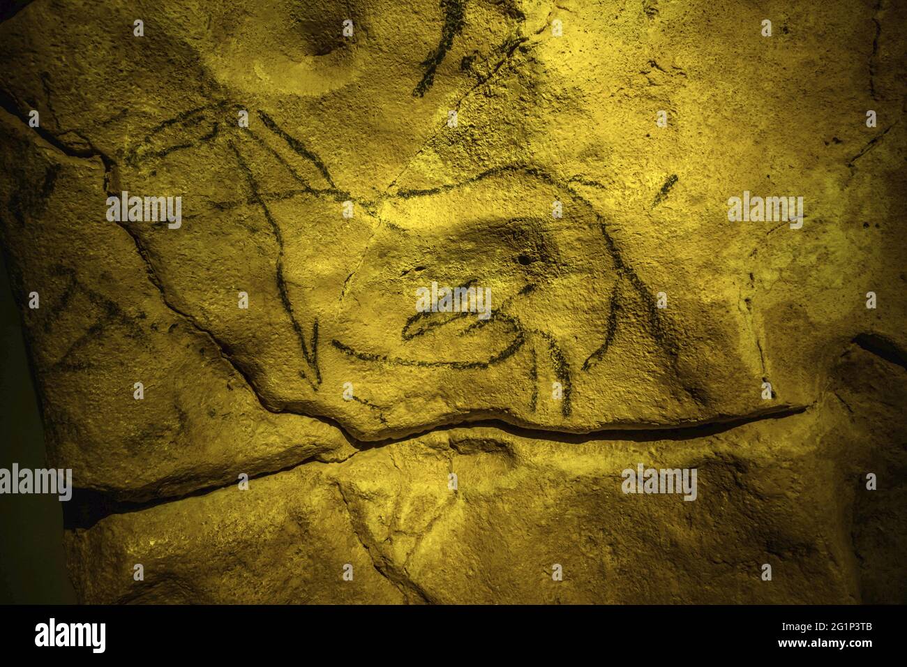 Spain, Cantabria, Sentillana del Mar, ornated prehistoric cave of ...