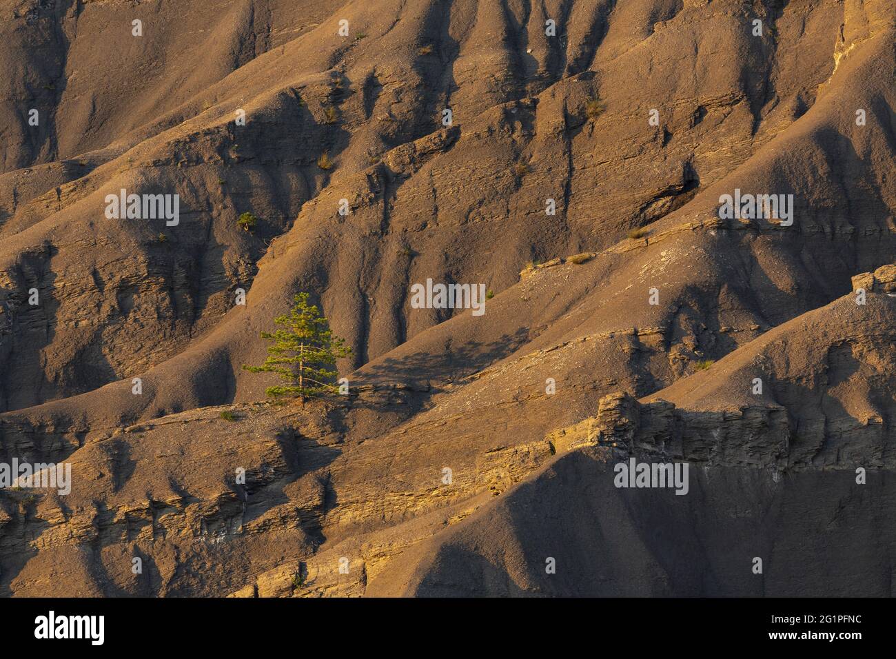 France, Alpes-de-Haute-Provence, Natural Geological Reserve of Haute ...
