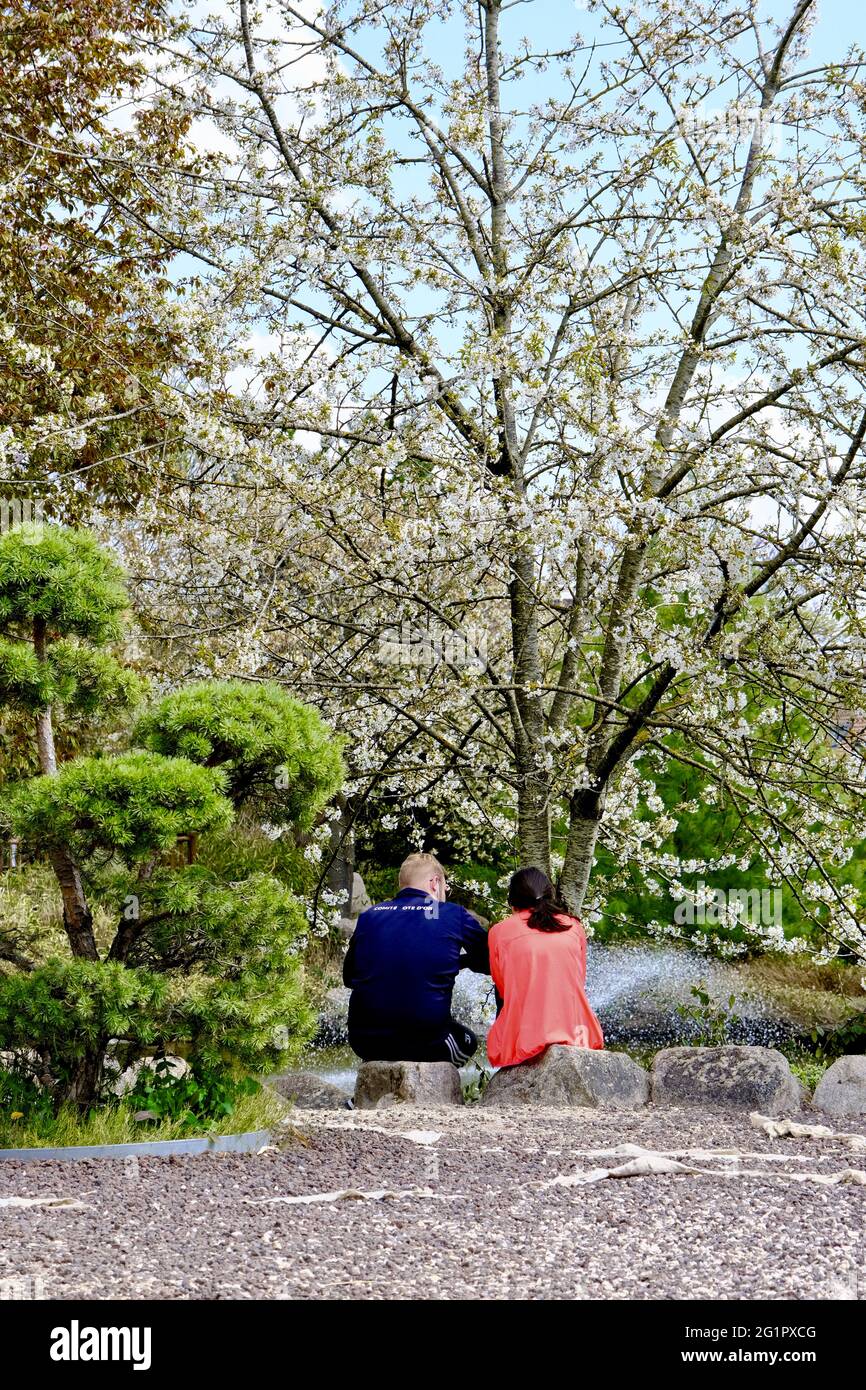 France, Cote d'Or, Dijon, Suzon park, the Japanese garden Stock Photo ...