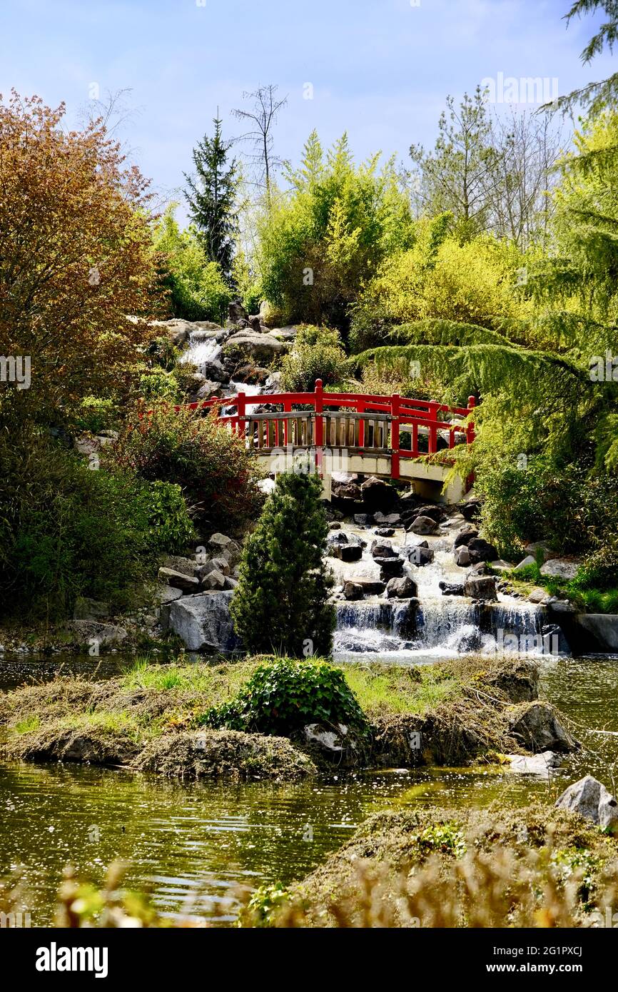 France, Cote d'Or, Dijon, Suzon park, the Japanese garden Stock Photo ...