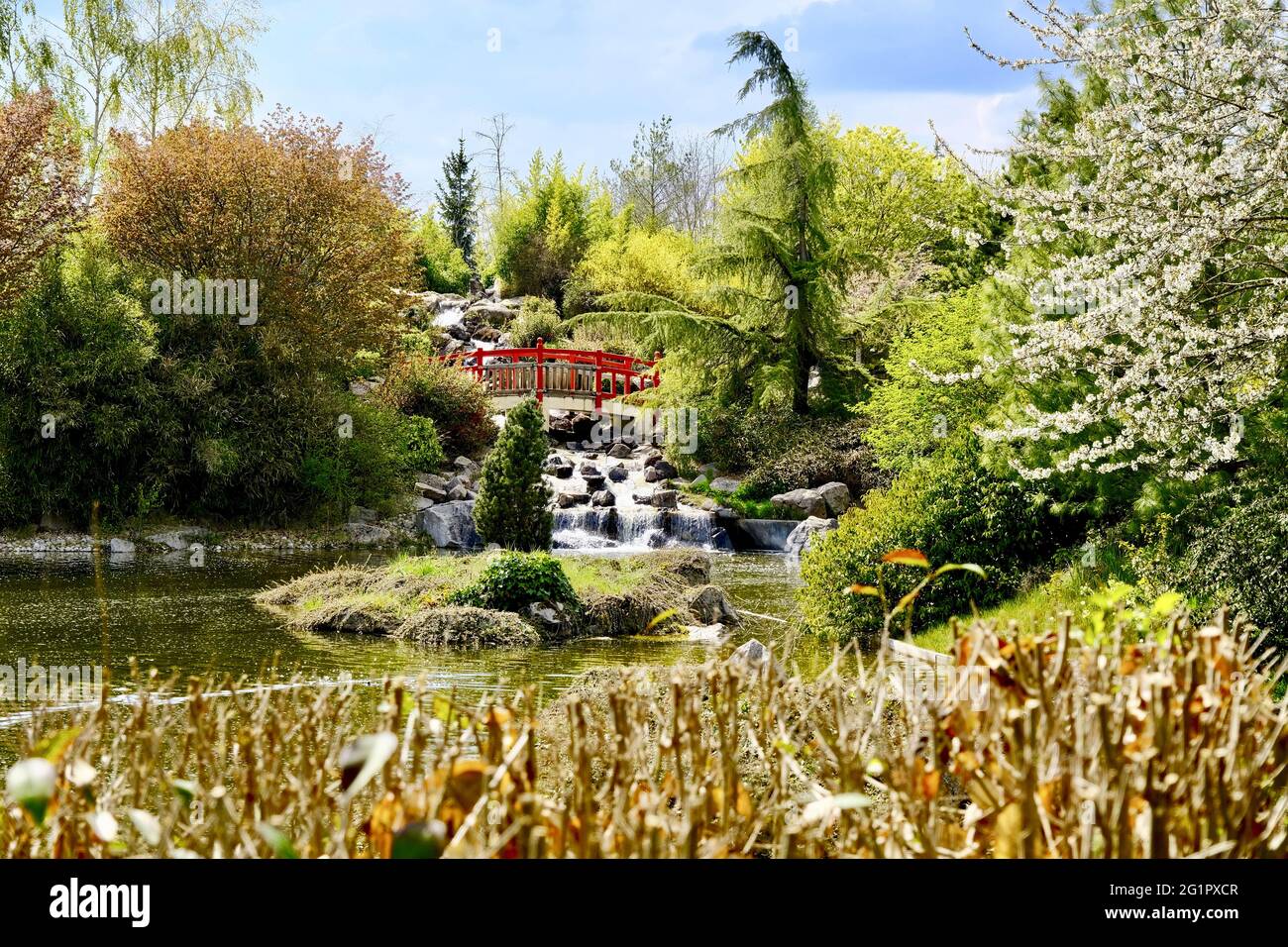 France, Cote d'Or, Dijon, Suzon park, the Japanese garden Stock Photo ...