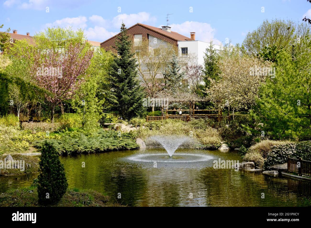 France, Cote d'Or, Dijon, Suzon park, the Japanese garden Stock Photo ...