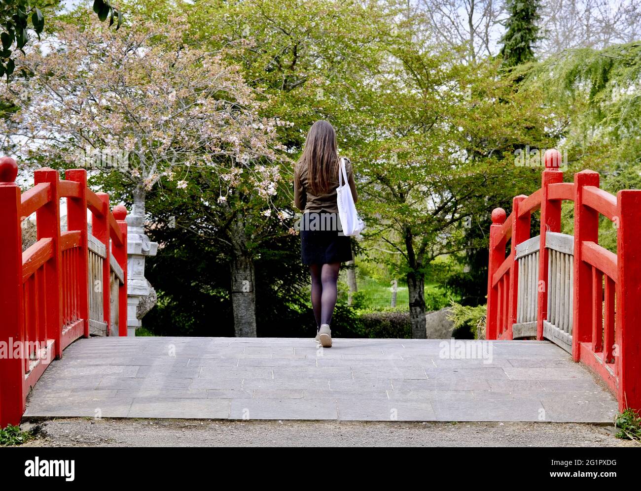 France, Cote d'Or, Dijon, Suzon park, the Japanese garden Stock Photo ...