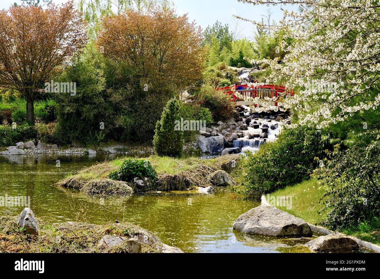France, Cote d'Or, Dijon, Suzon park, the Japanese garden Stock Photo ...