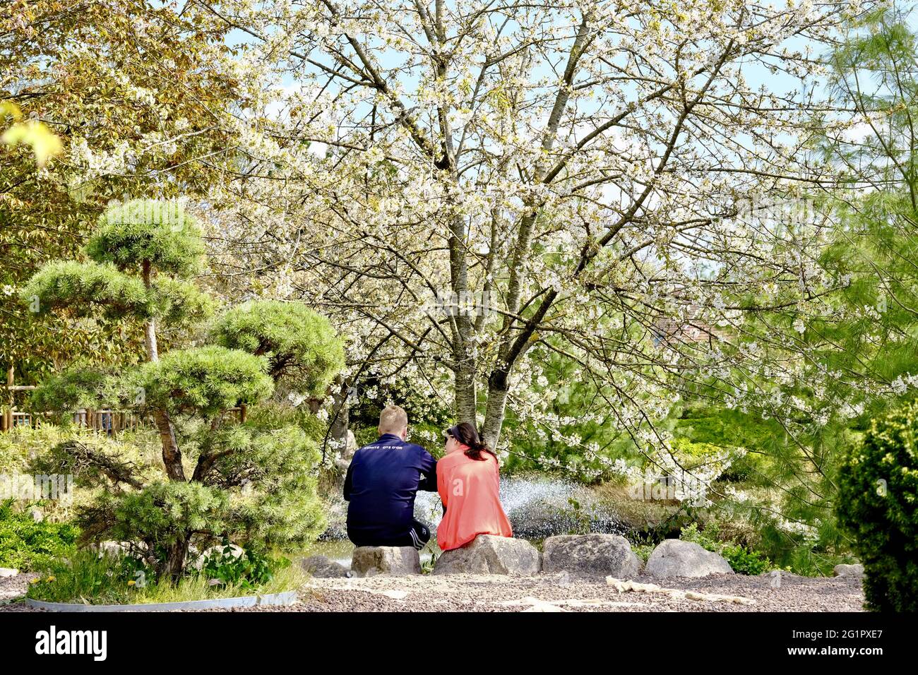 France, Cote d'Or, Dijon, Suzon park, the Japanese garden Stock Photo ...