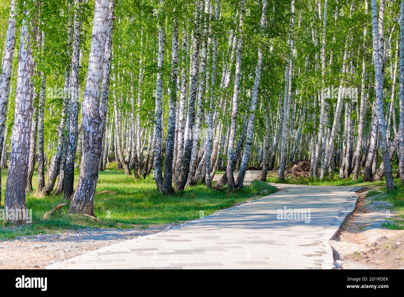 Construction pathway grass hi-res stock photography and images - Alamy