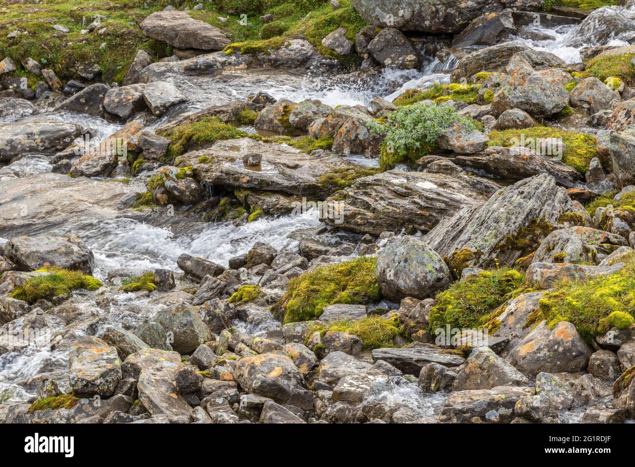 Stream in a block field with flowing water Stock Photo - Alamy