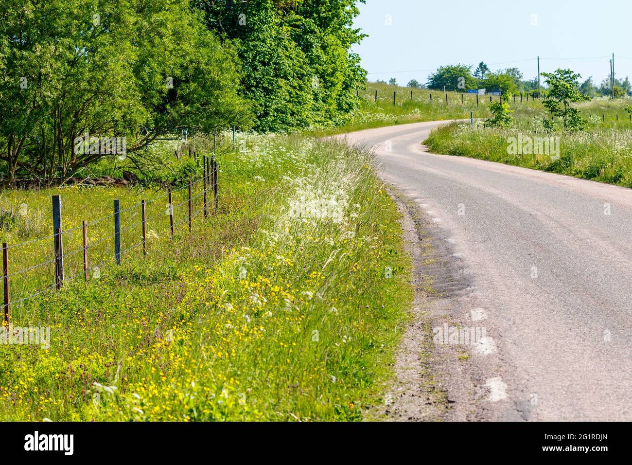 Flowering roadside hi-res stock photography and images - Alamy