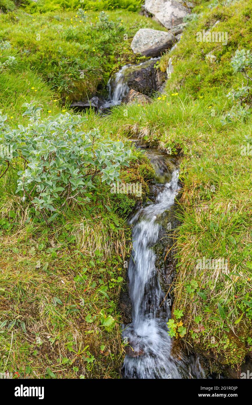 Small creek and a waterfall Stock Photo - Alamy