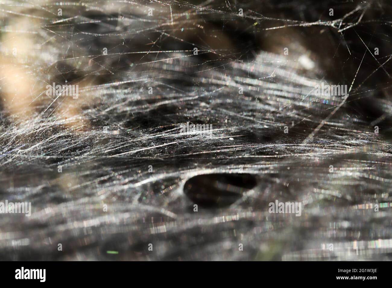 spider web close-up nature background Stock Photo - Alamy