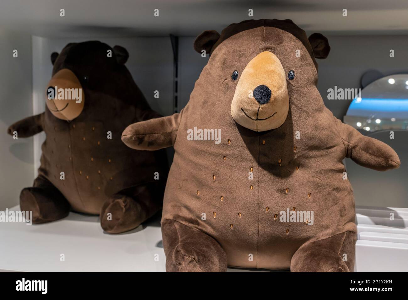 funny brown bear on the counter in a toy store Stock Photo - Alamy
