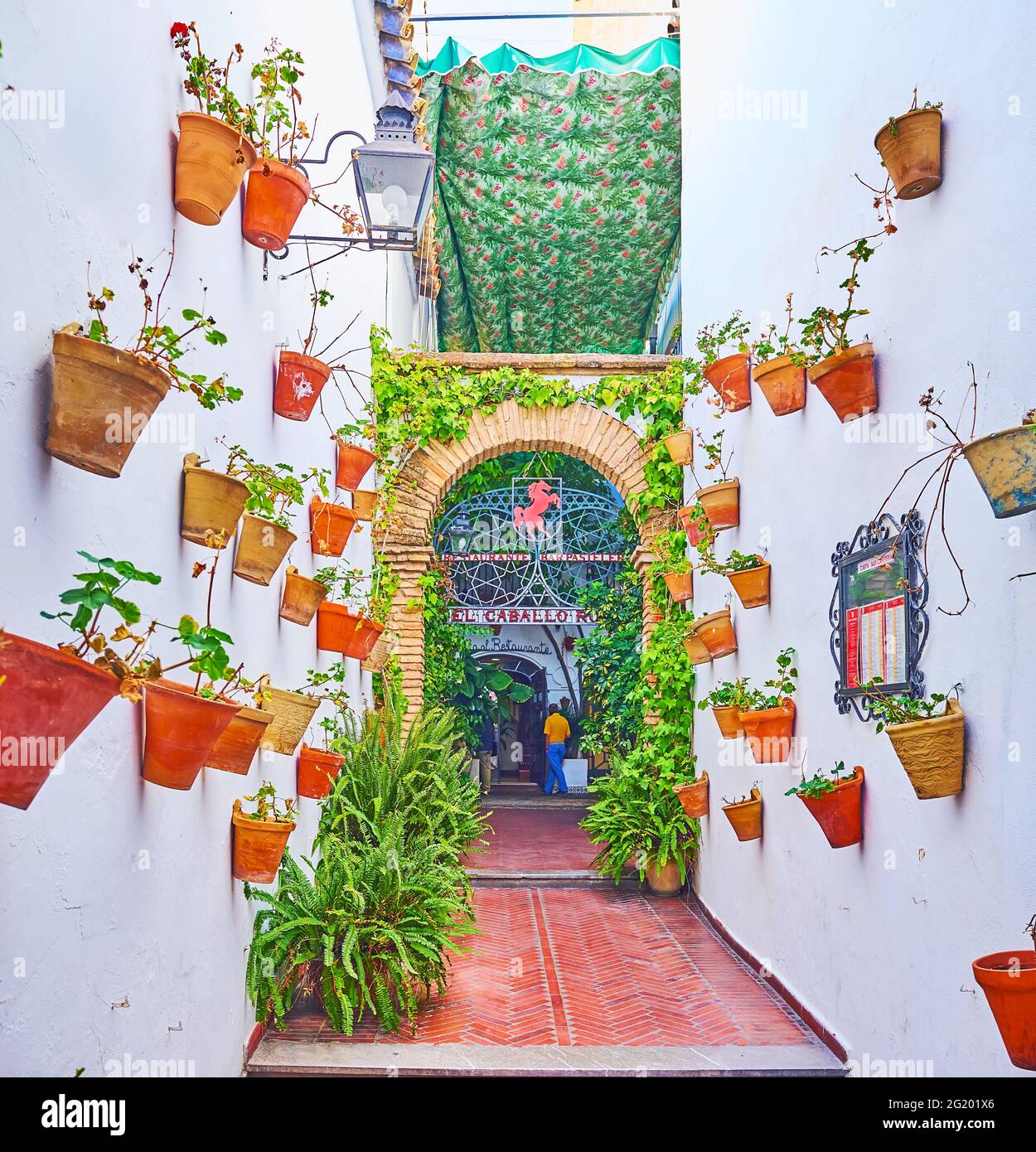 Pot plant courtyard hi-res stock photography and images - Alamy