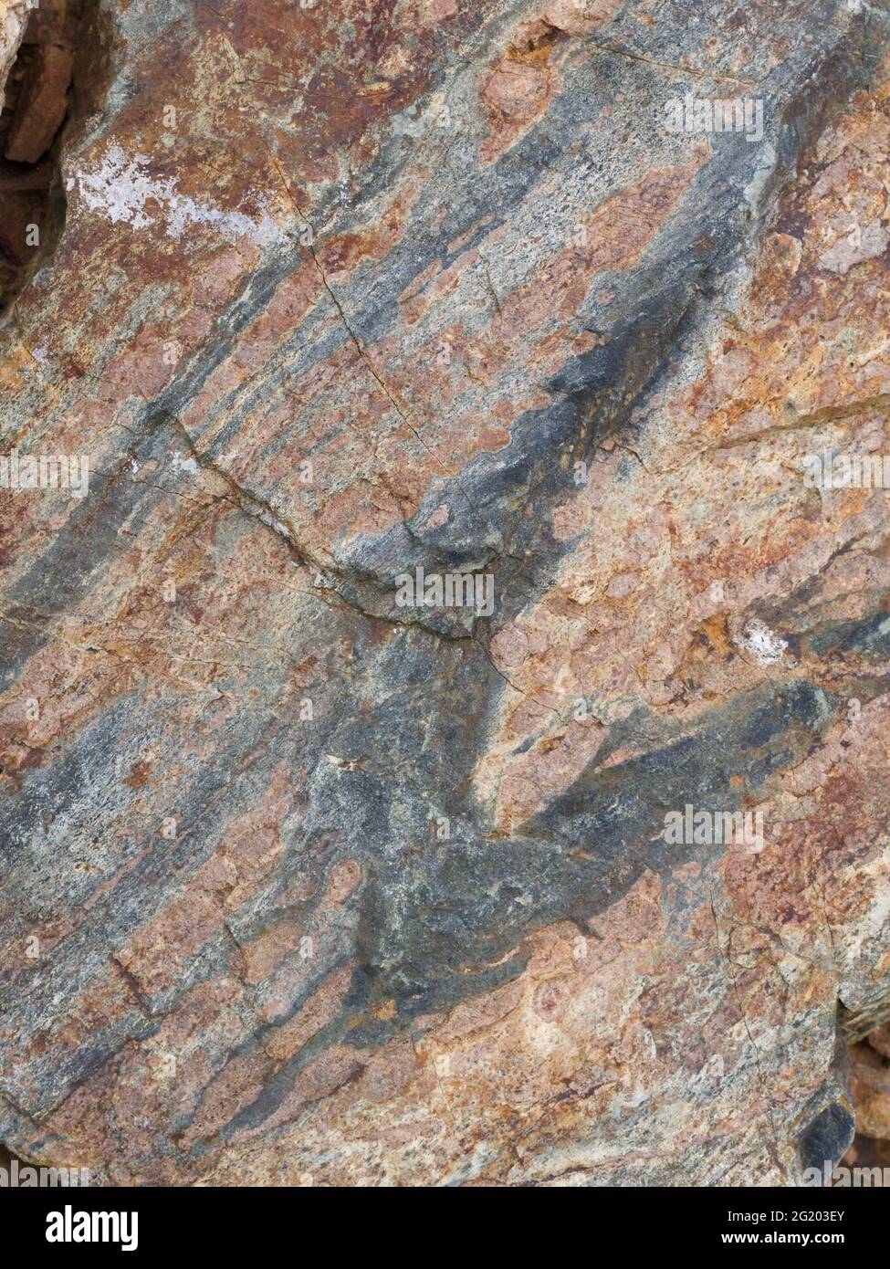 Fold in Metamorphic Pelite Rock. Orange and Green Geology Natural ...