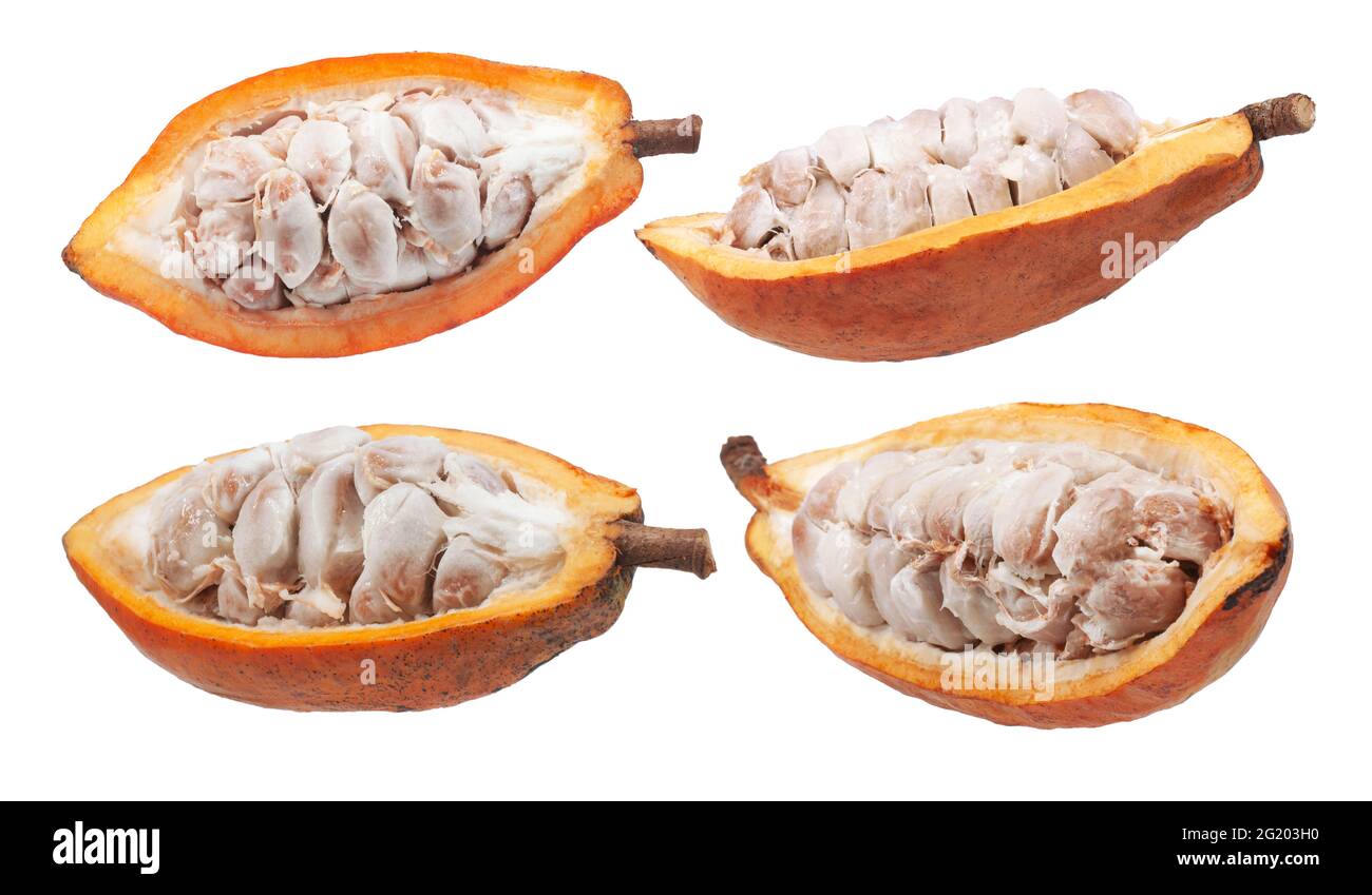 Fruits of the coca plant hi-res stock photography and images - Alamy