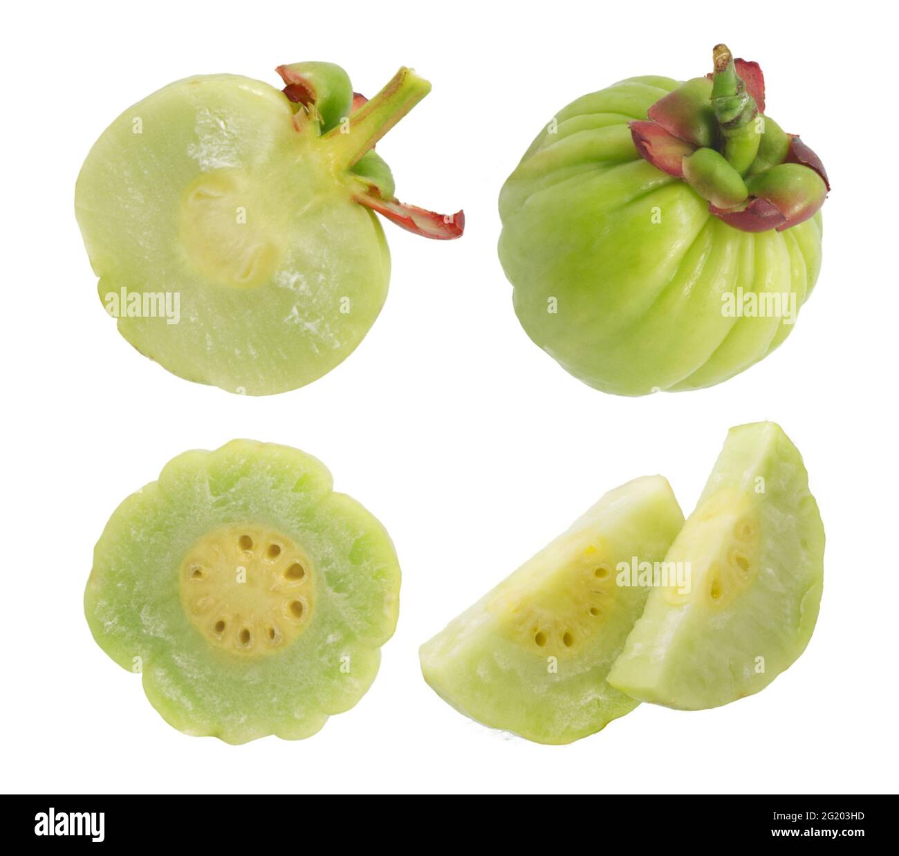Garcinia Cambogia Fruit Indian Name