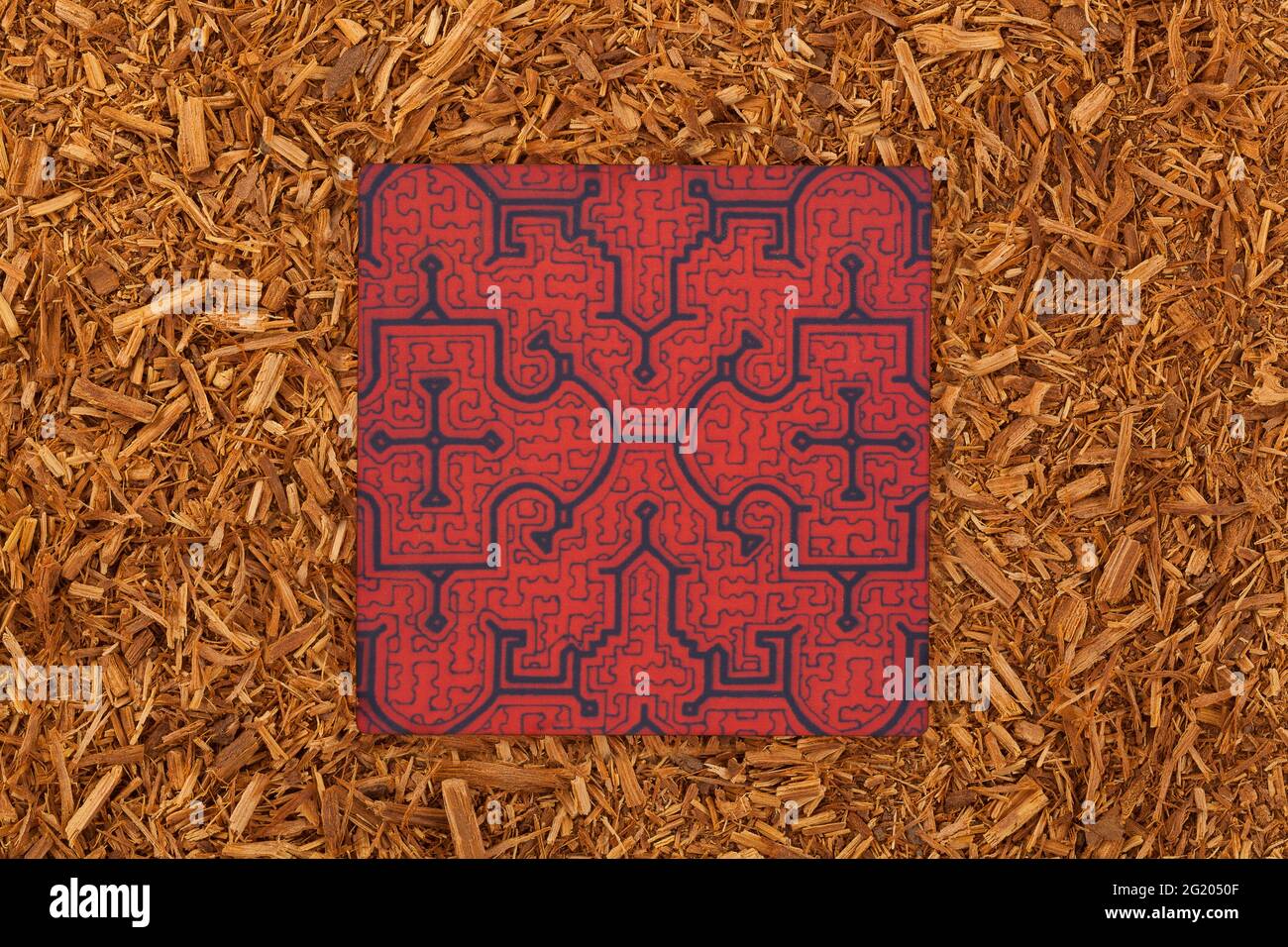 Shipibo pattern and Ayahuasca vine. Banisteriopsis caapi Stock Photo ...