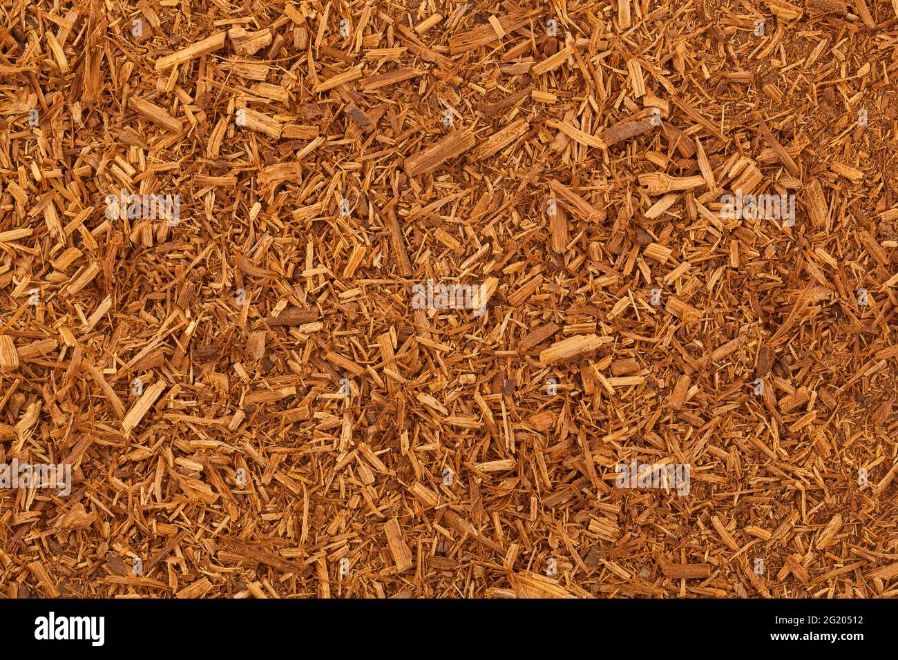 Shredded banisteriopsis caapi vine. Ayahuasca, traditional indigenous ...