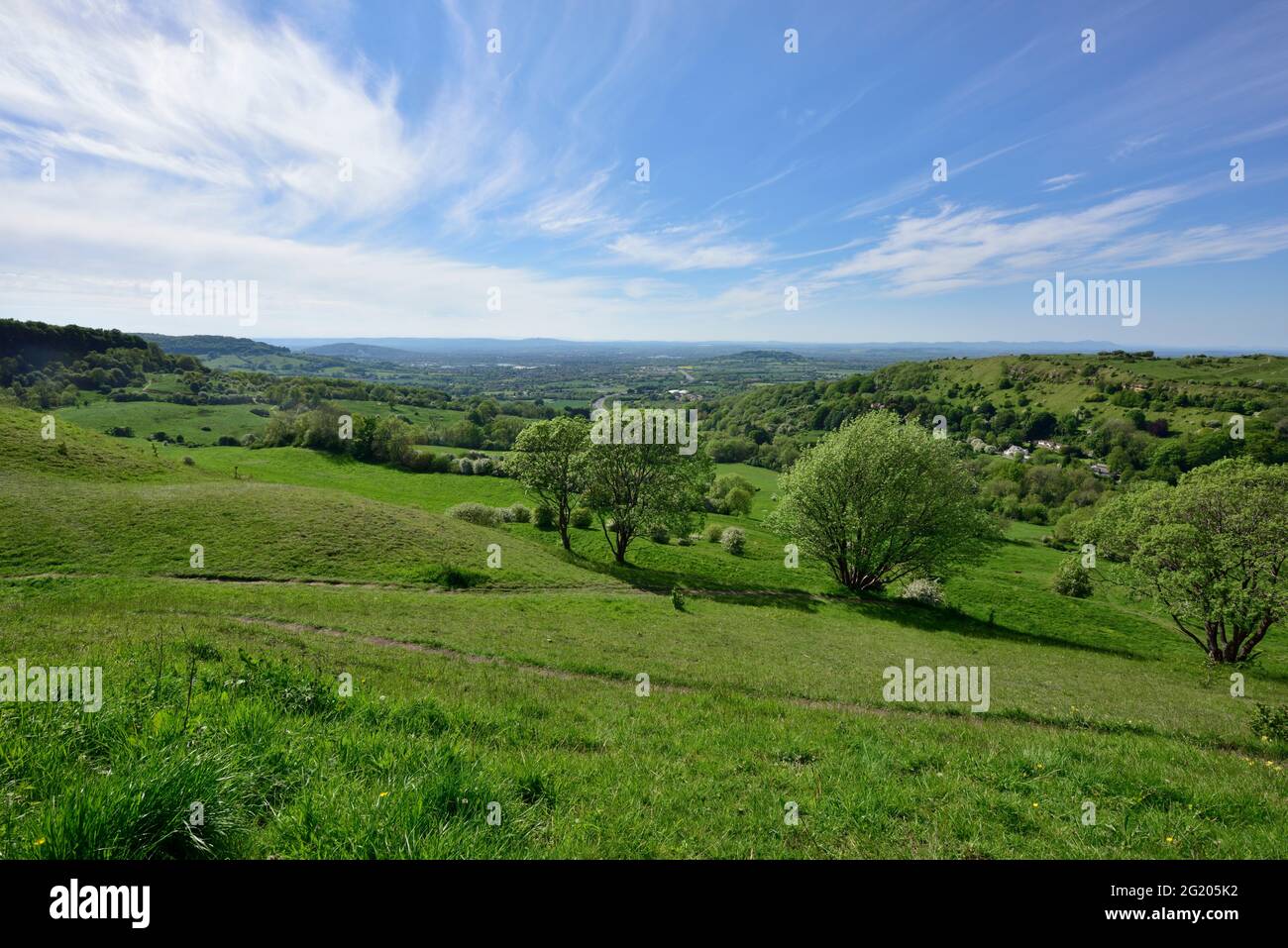 Trees and footpaths on grassy escarpment above Severn Vale looking ...