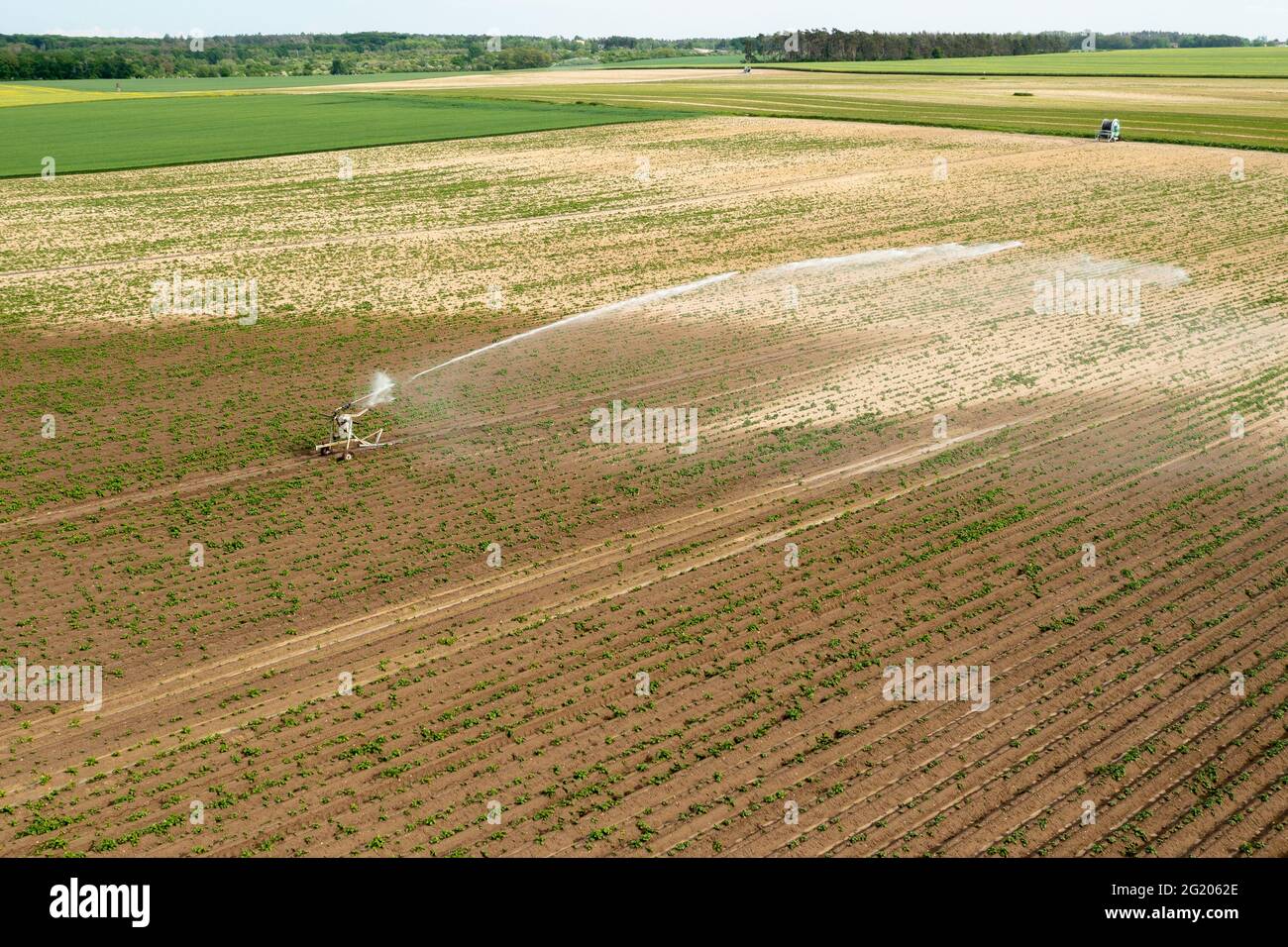 Irrigation of a green field with crops by water Stock Photo - Alamy