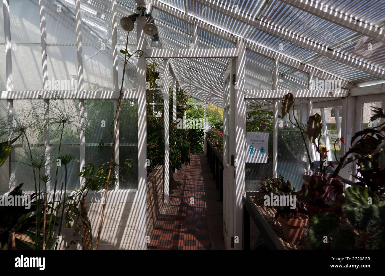 Inside the Greenhouse at Walmer Castle Garden's, Walmer, Kent Stock ...