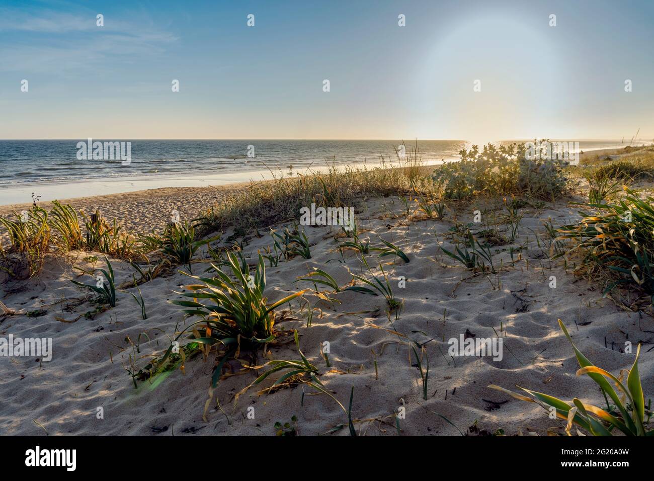 Praia do faro boardwalk hi-res stock photography and images - Alamy