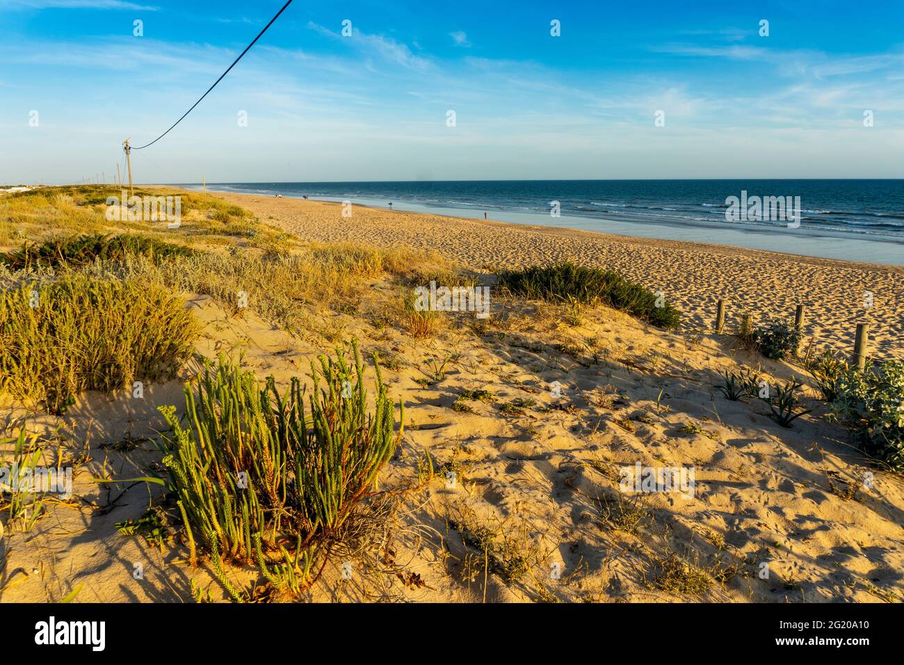 Wide sandy Faro beach with dunes and walkways by the sunset, Faro ...