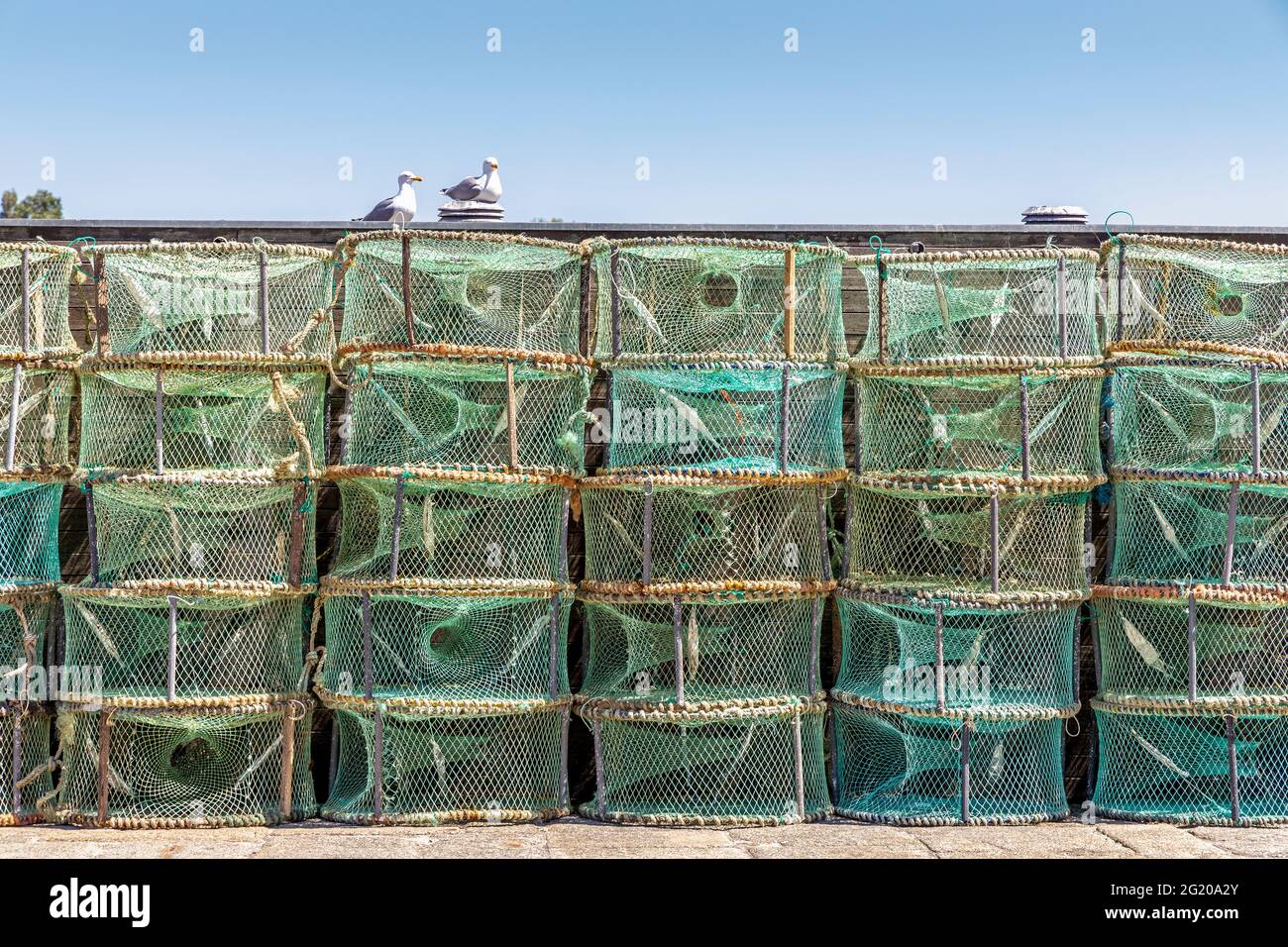 A lot of green traps used in Portugal to catch octopus and crabs Stock ...