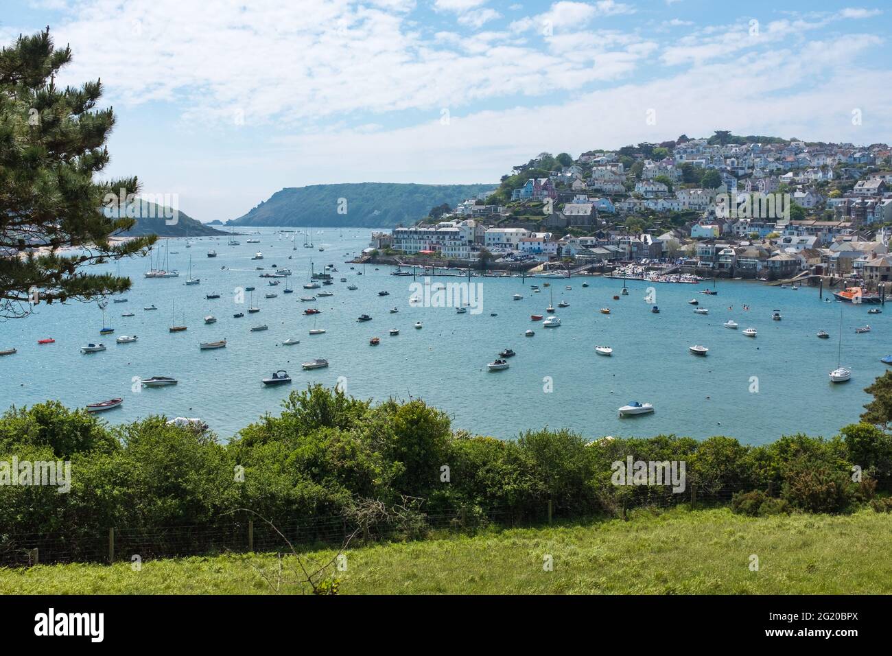 View of the South Hams town of Salcombe and the estuary from Snapes ...