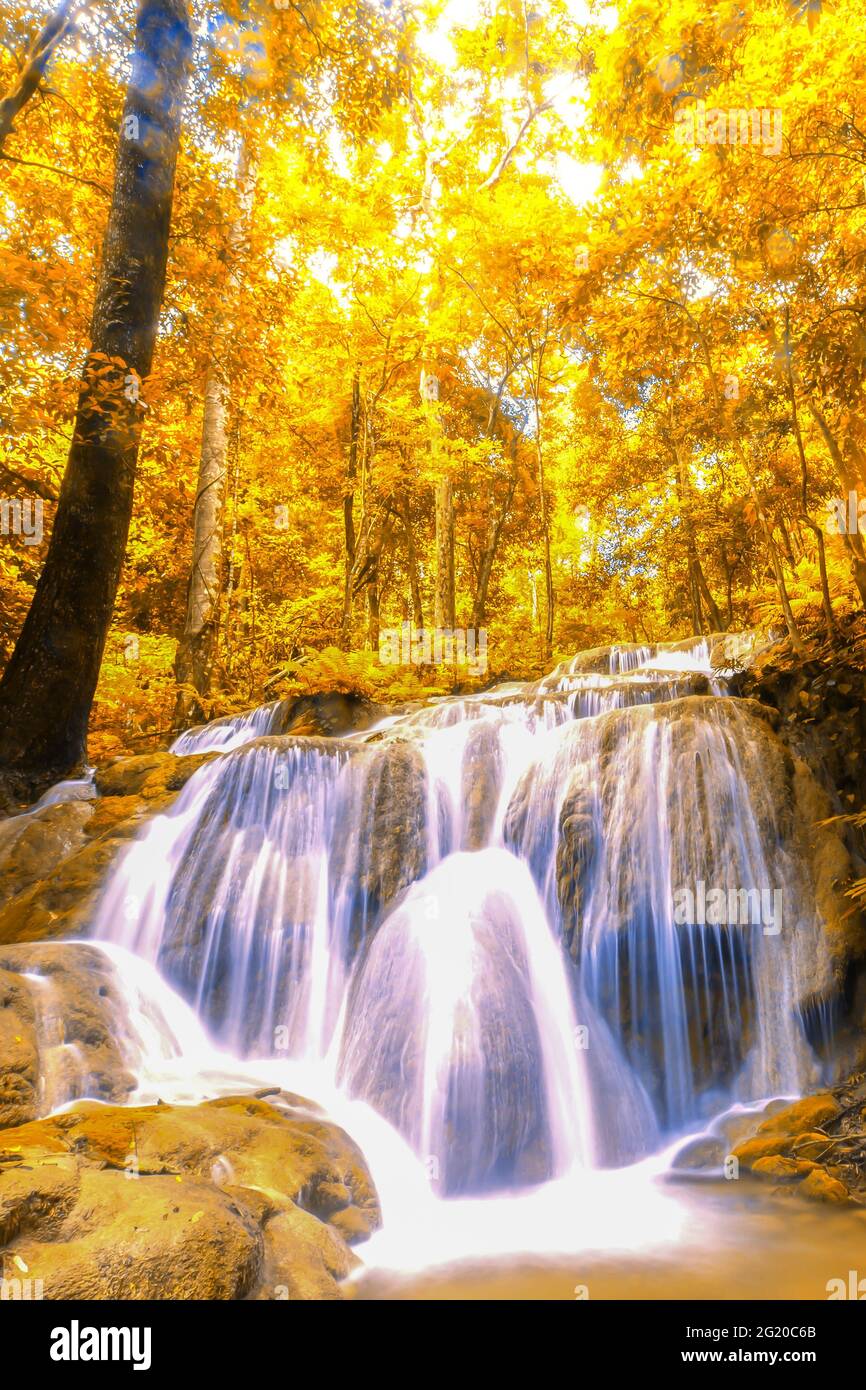 Landscape autumn waterfall in a colourful forest, bright colours leaves ...