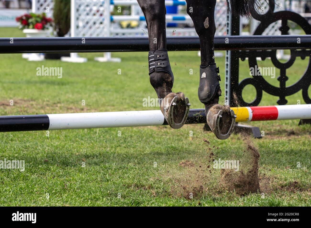 Horse Jumping, Equestrian Sports, Show Jumping event themed photograph ...