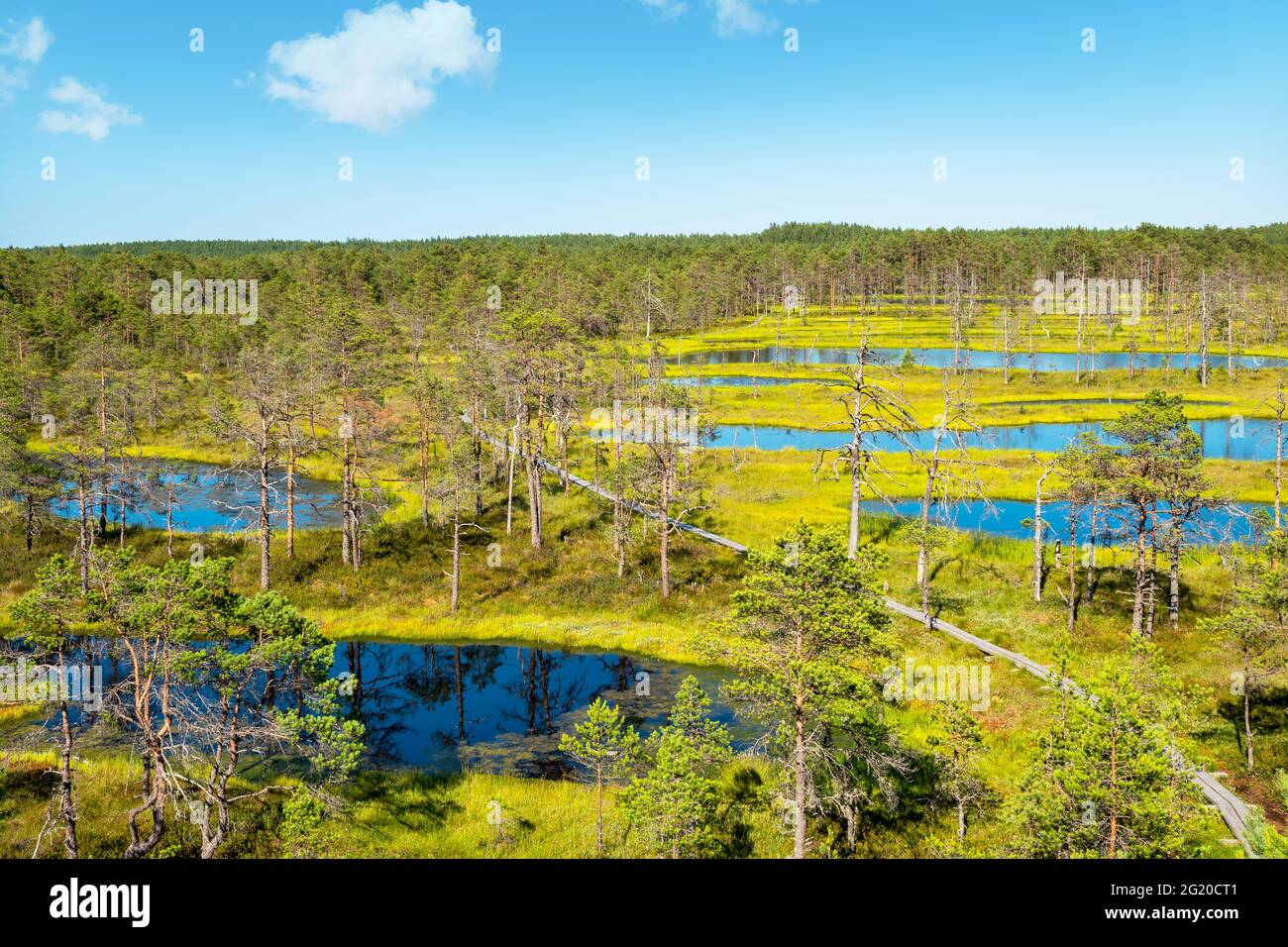 Swamp bog wetland boardwalk hi-res stock photography and images - Alamy