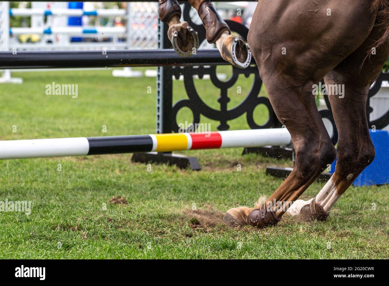 Horse Jumping, Equestrian Sports, Show Jumping event themed photograph ...