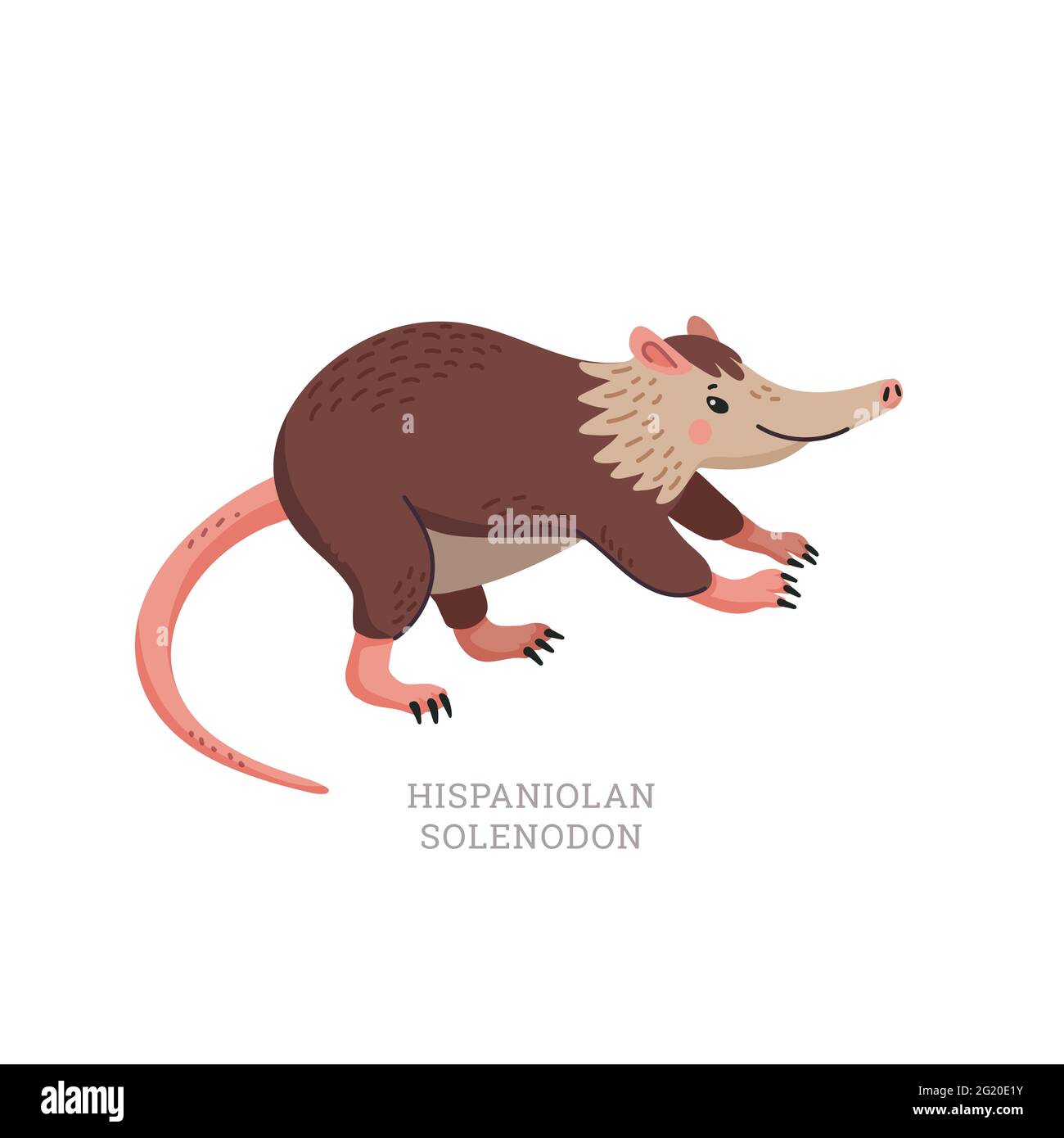 Cuban endemic species Stock Vector Images - Alamy