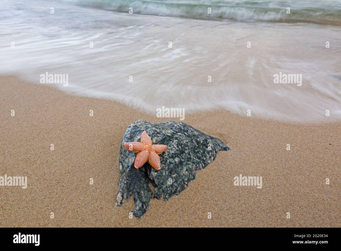 Dead rock stars hi-res stock photography and images - Alamy