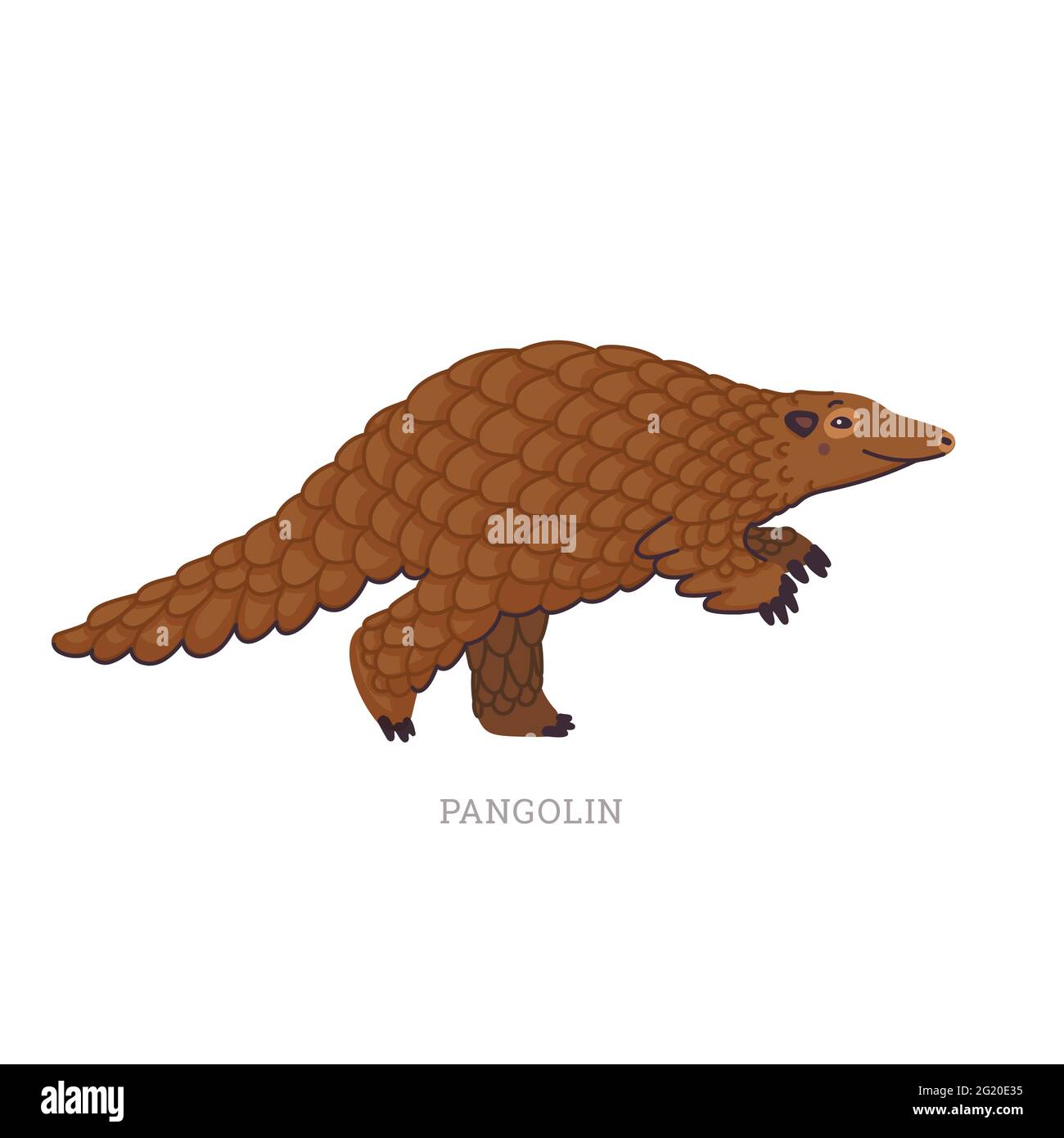 Rare animal collection. Pangolin or scaly anteaters. Unique mammals ...