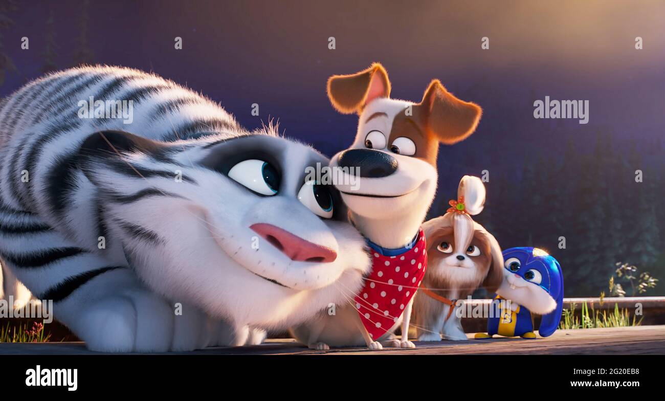 USA. A scene from the ©Universal Pictures new movie : The Secret Life ...