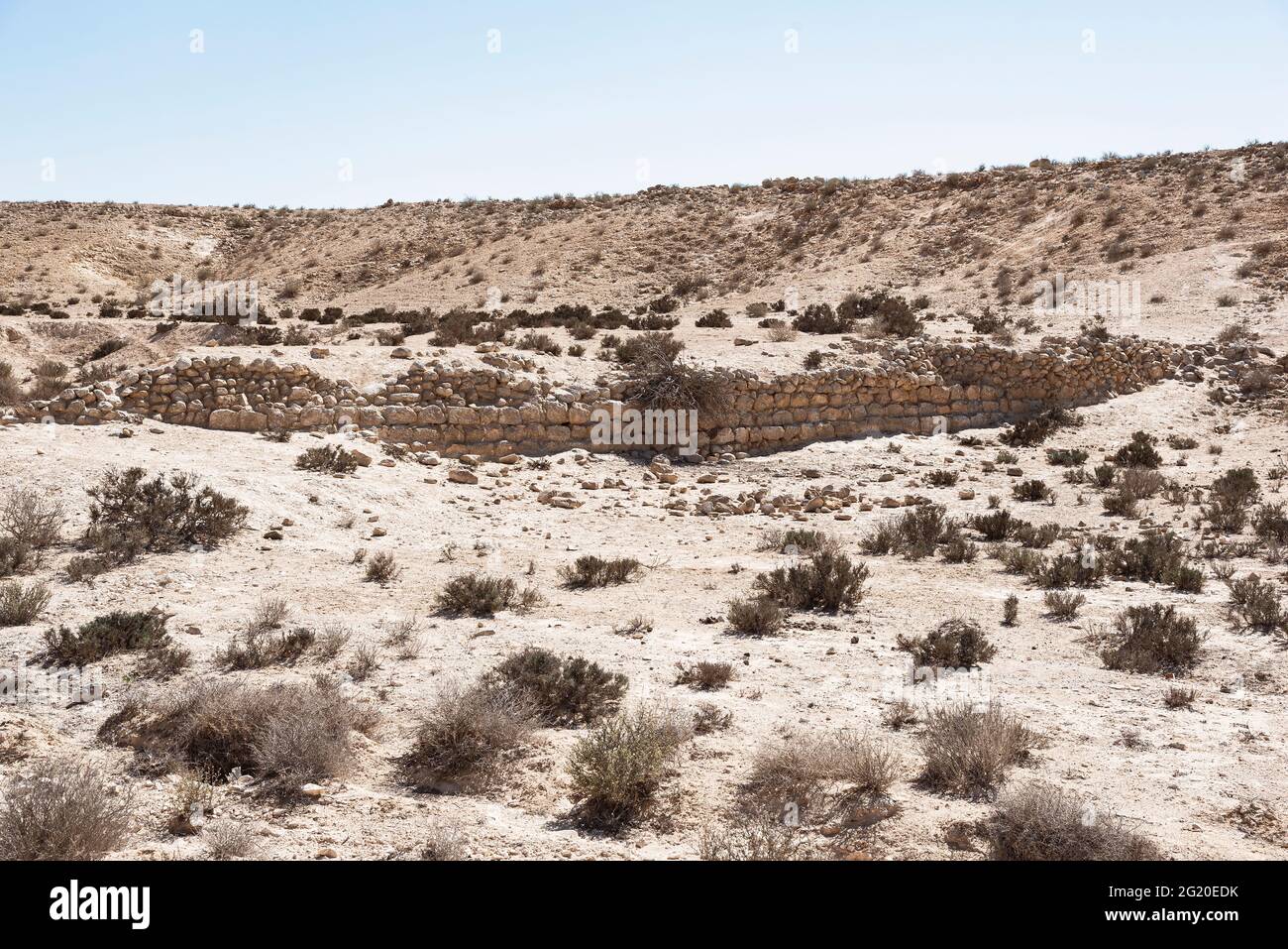 Reverse desertification hi-res stock photography and images - Alamy