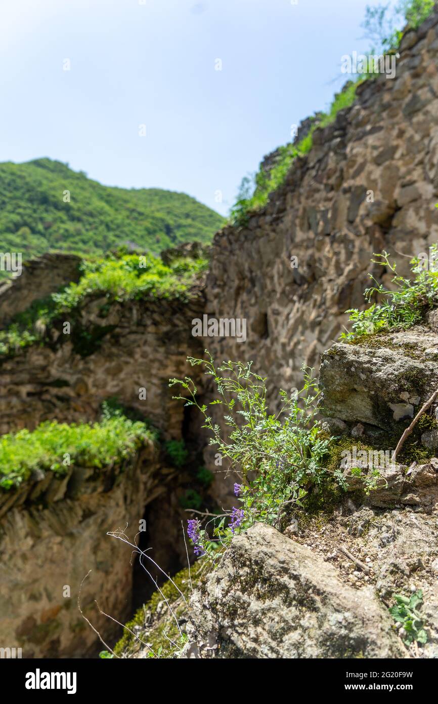Tourism in Georgia for architecture old ruins and culture if archeology ...