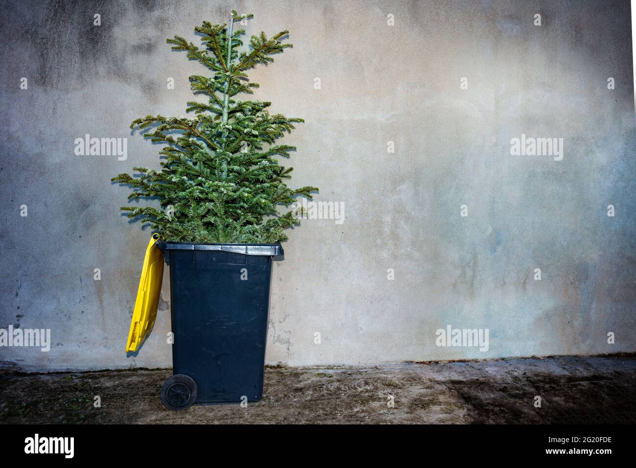 Thrown tree hi-res stock photography and images - Alamy
