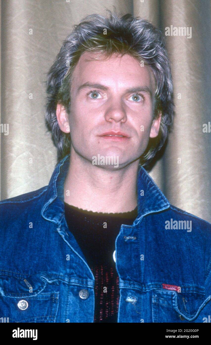 Sting 1980sPhoto by Adam Scull/PHOTOlink /MediaPunch Stock Photo - Alamy