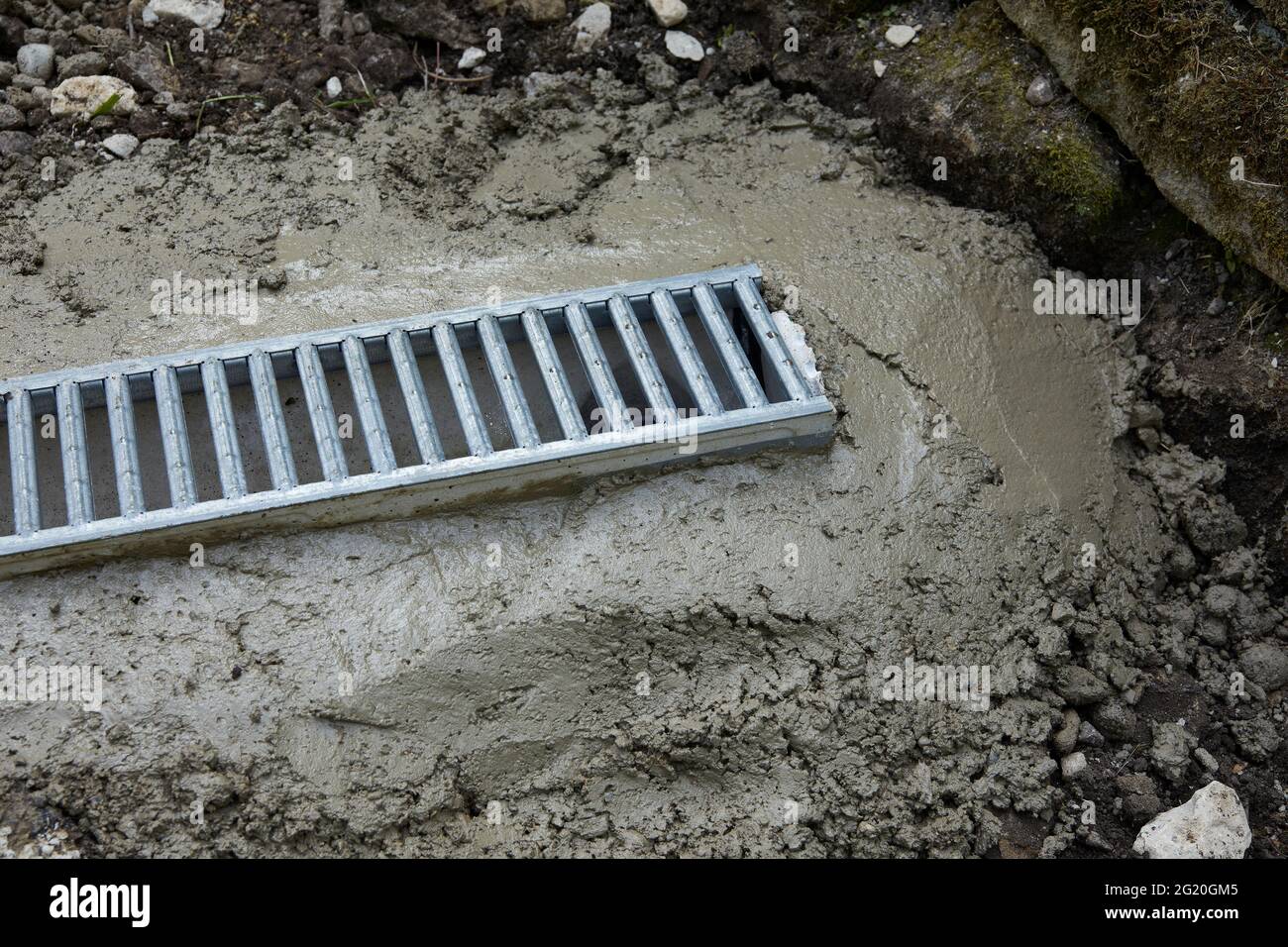 Dain in hi-res stock photography and images - Alamy