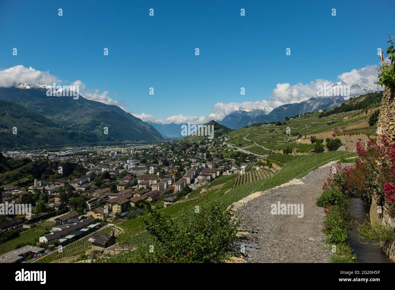Landscape view of the city of Sion, from the vineyards above the city ...