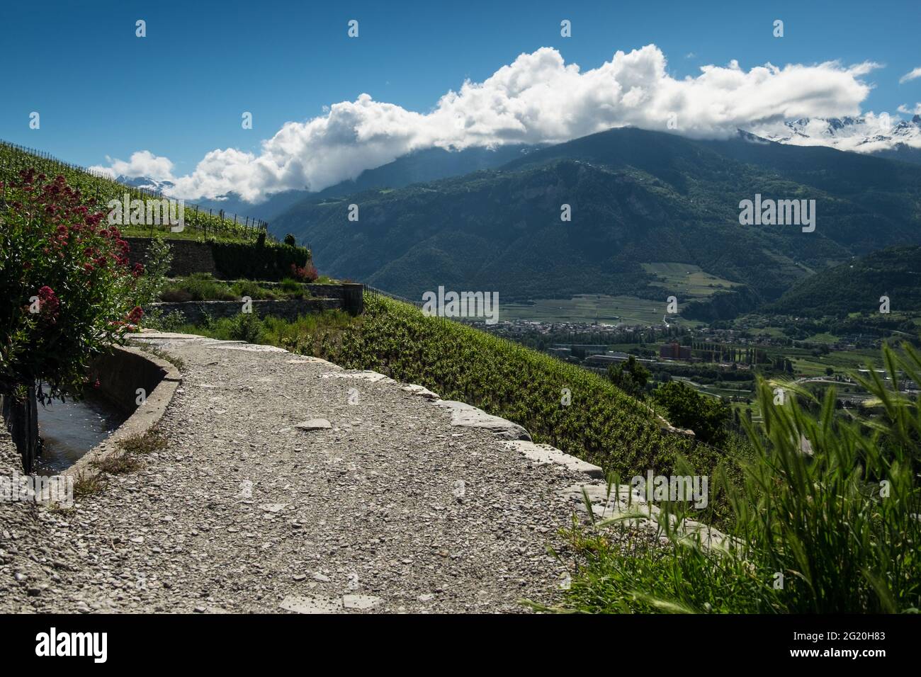 Landscape view of the city of Sion, from the vineyards above the city ...